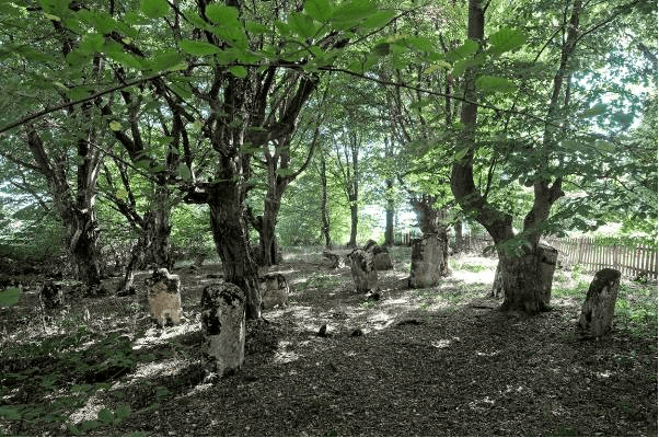 Stećci WH – Stećci World Heritage